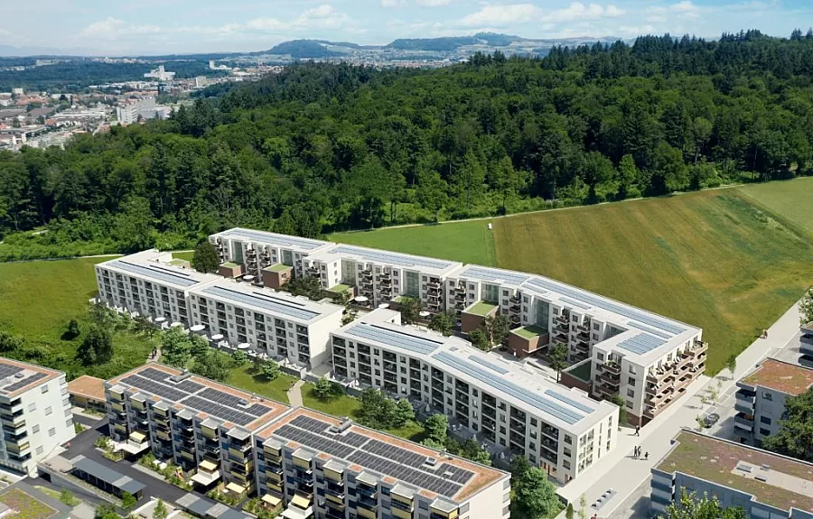 Kitas und Tagesfamilien - kibe plus